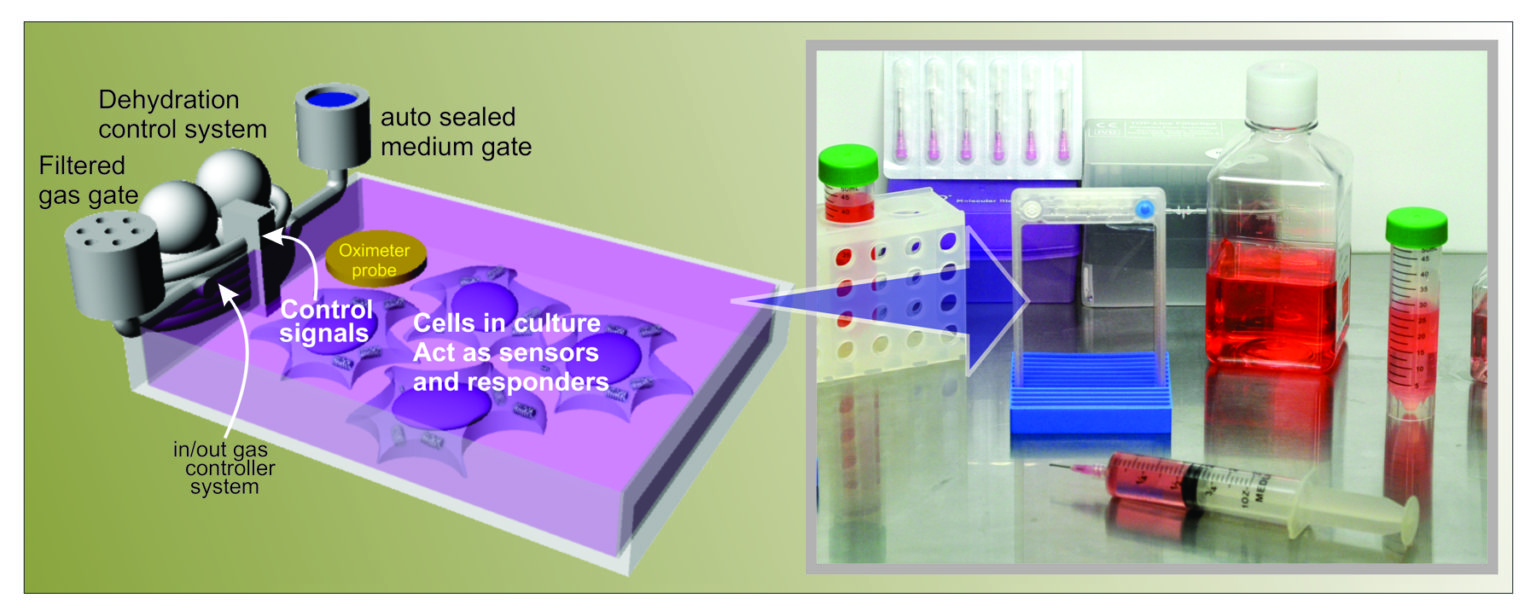 Bionic Cell Culture Devices Instruments Of Excellency For Creative And